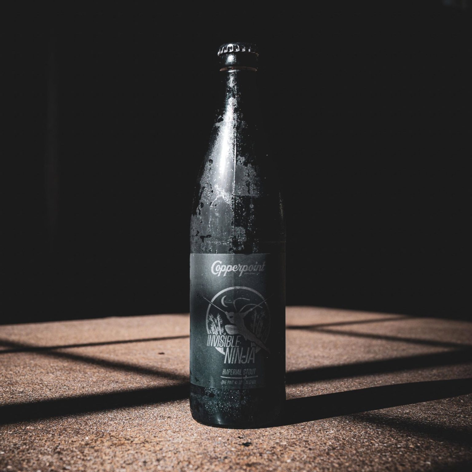 Beers – Copperpoint Brewing Company